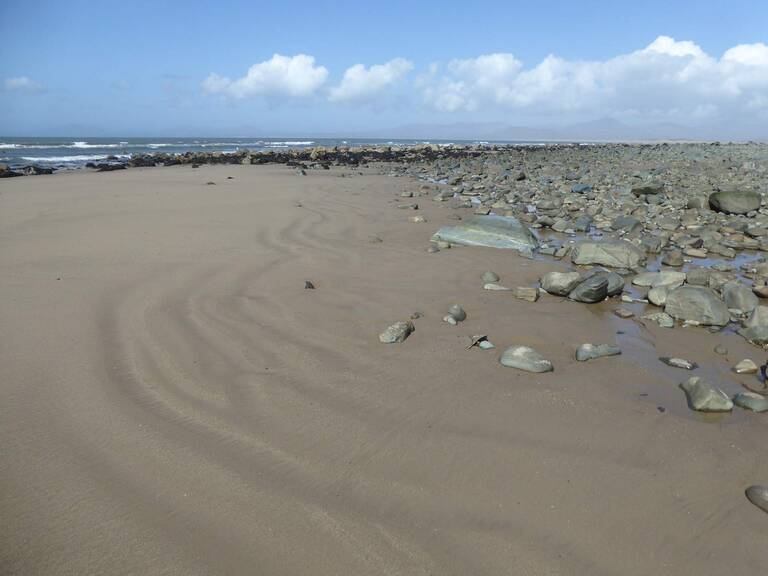 Beach Study - CMC Adventure
